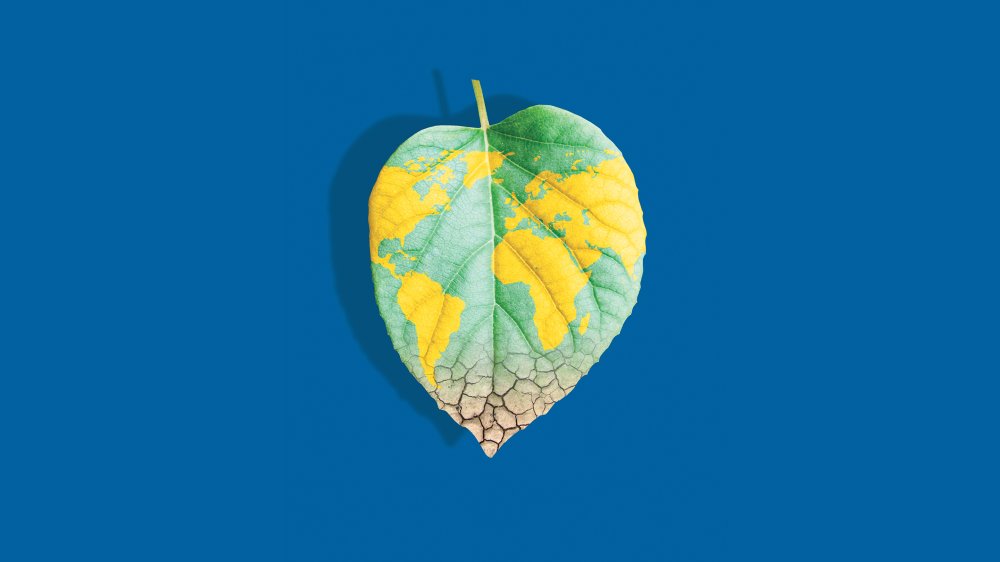 Resources for Teaching Climate Change in K-12 Social Studies Classes ...