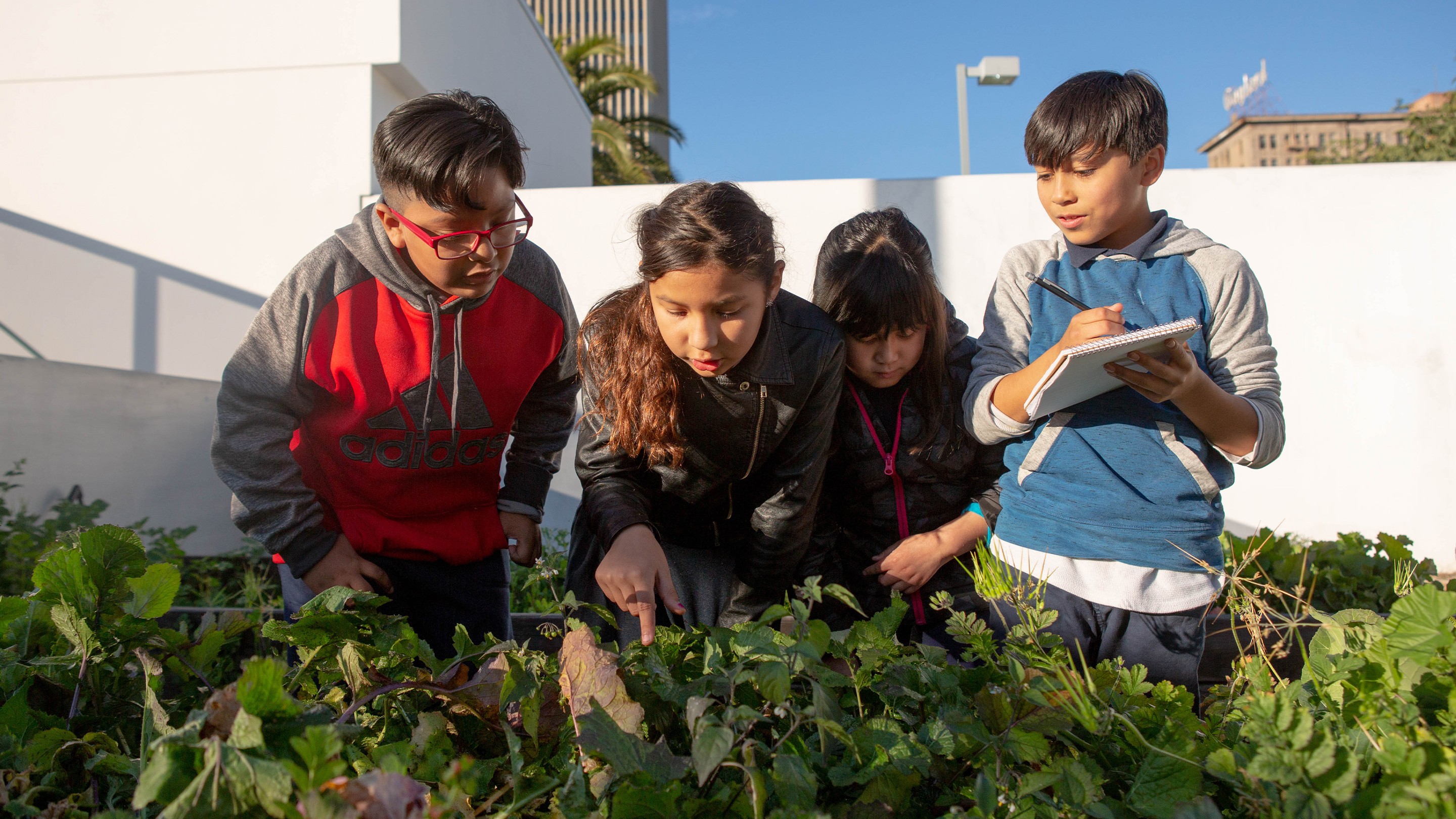 Building Climate Literacy With Community Science Projects for K-12 ...
