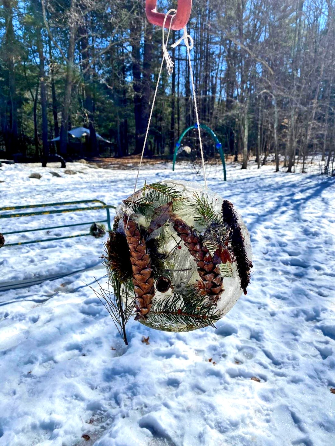 5 Easy Ways to Bring Students in Preschool to Grade 2 Outside | Edutopia