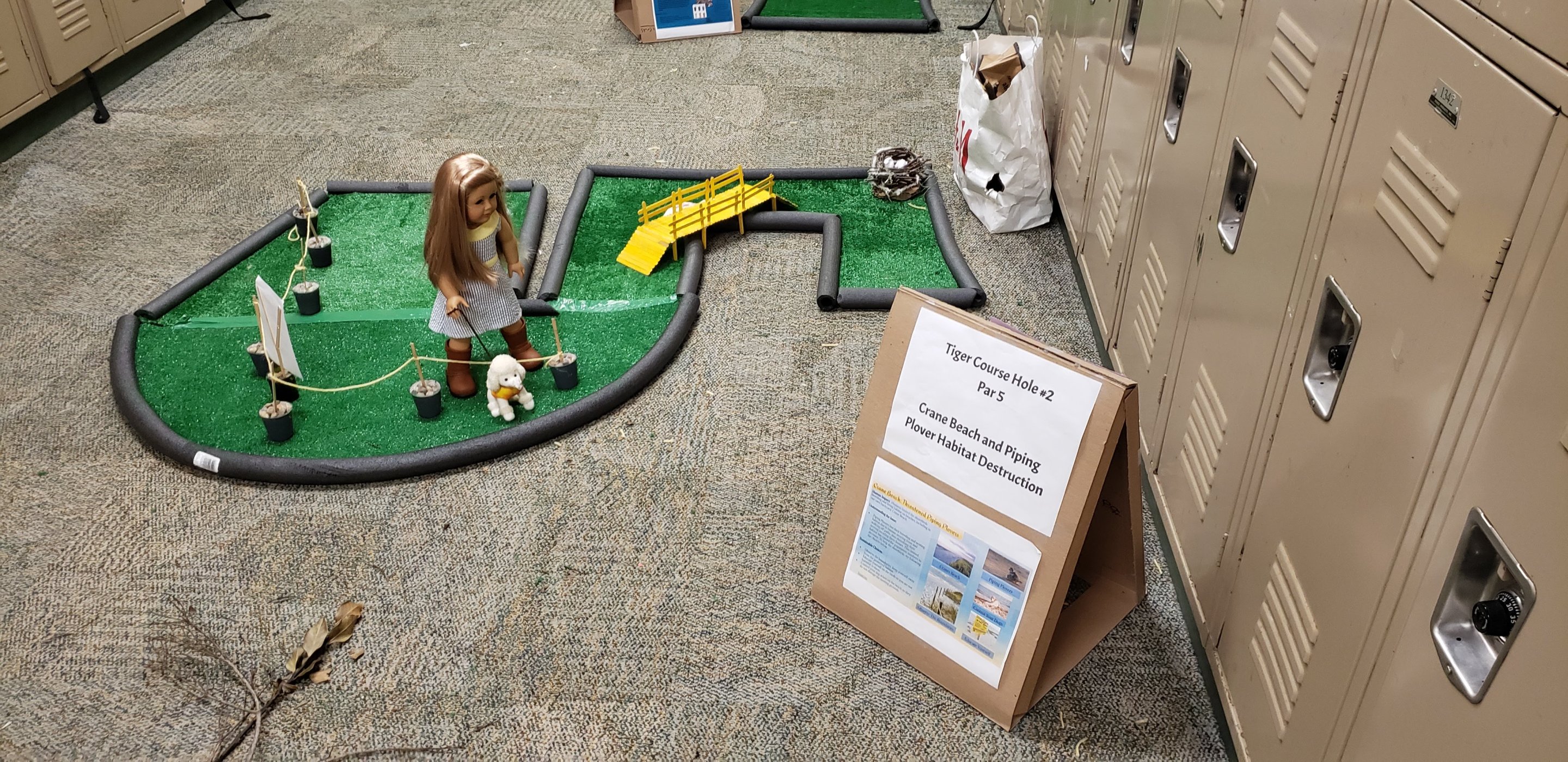 Building a Sustainable Future—One Classroom at a Time | Edutopia