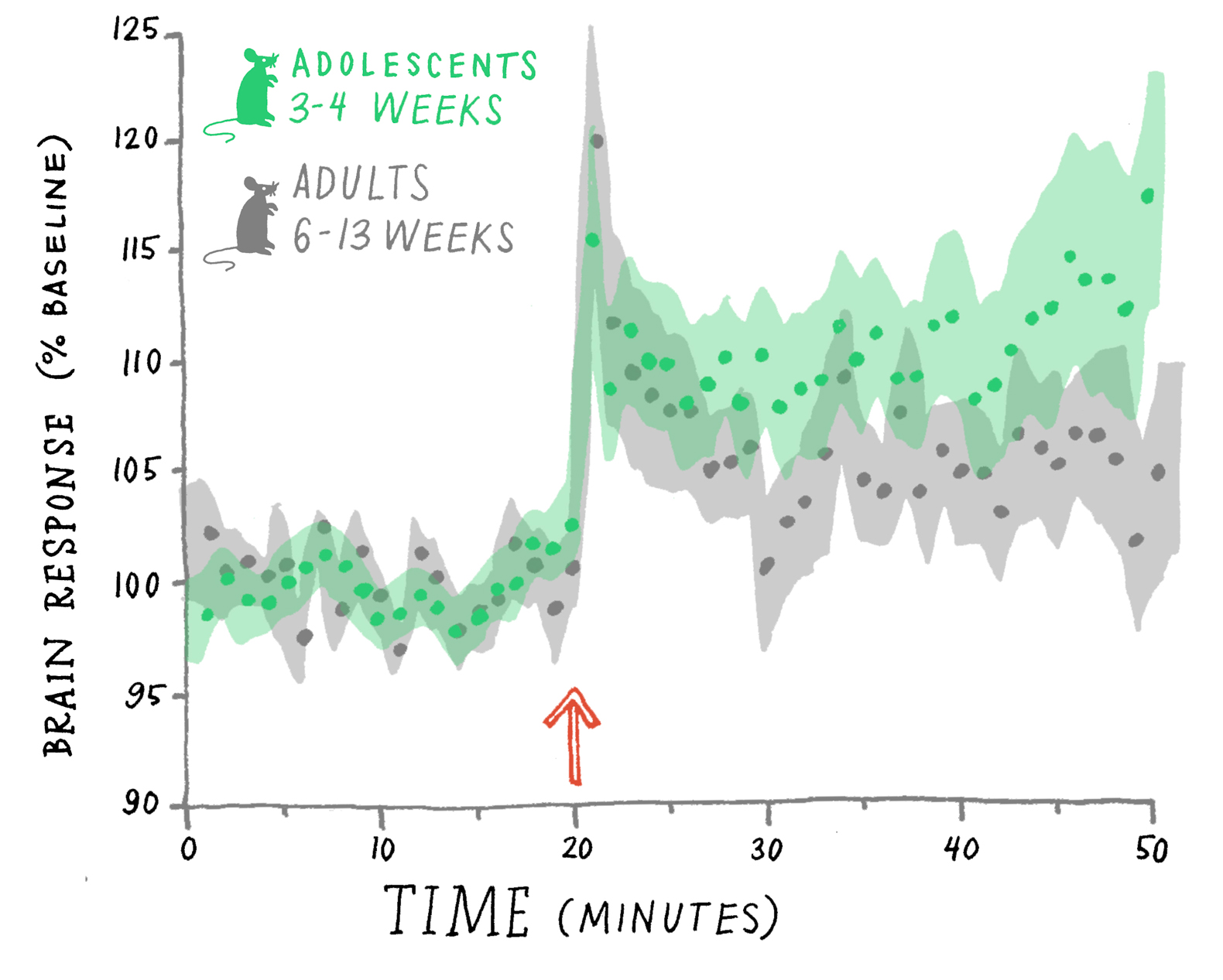 Decoding the Teenage Brain (in 3 Charts) | Edutopia