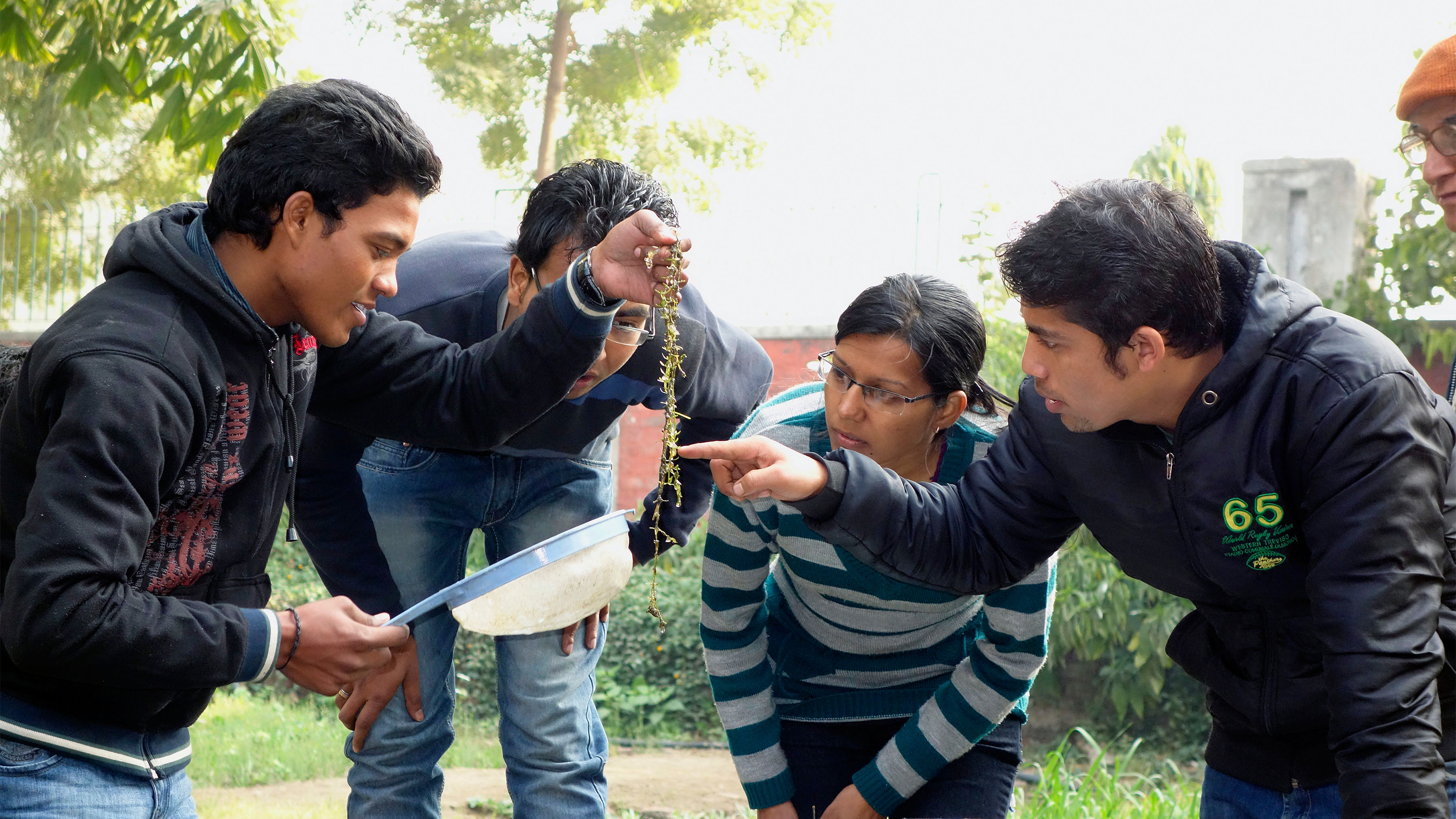 How to Explore Environmental Issues in Middle and High School Outside ...