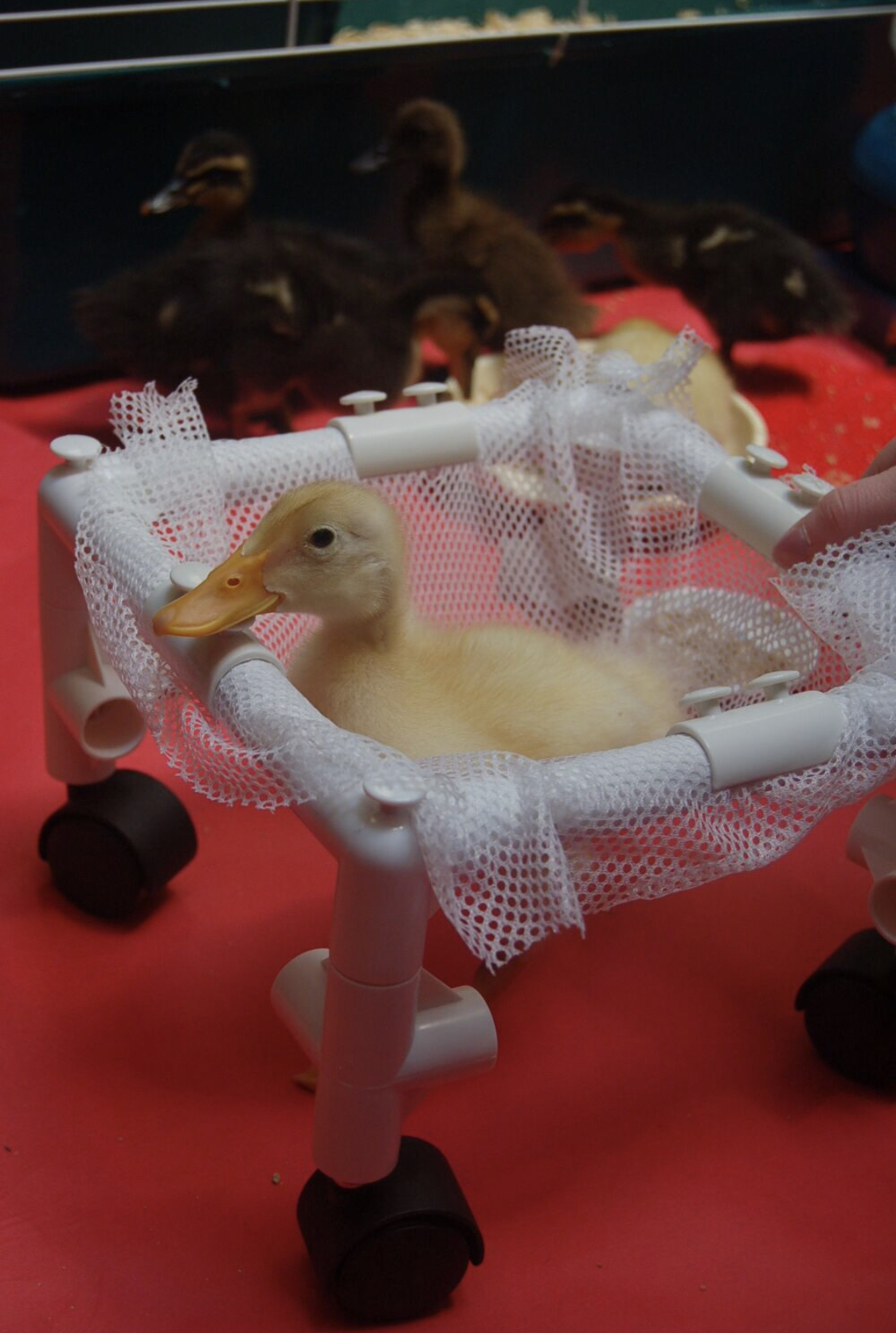 5 Ways to Combat Classroom Isolation | Edutopia