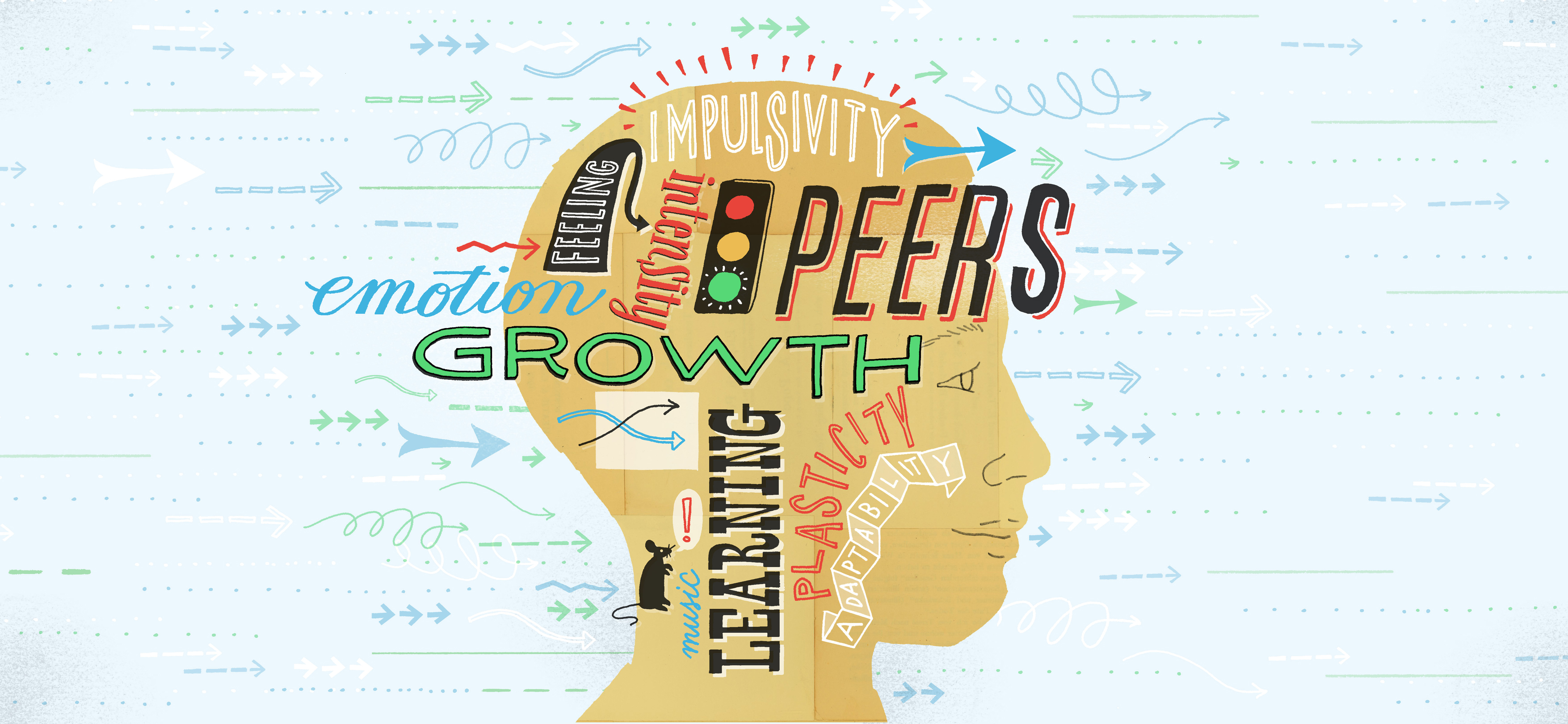 Decoding the Teenage Brain (in 3 Charts) | Edutopia