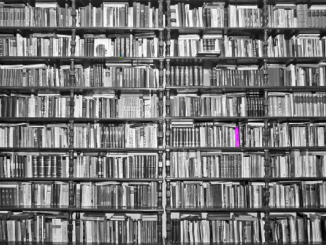 5 Tips for Helping a Student Find the Right Book | Edutopia