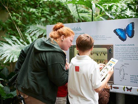 5 Tips for Engaging Parent Volunteers in the Classroom | Edutopia