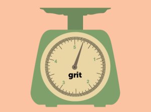 Adding the Grit Scale to School Data | Edutopia