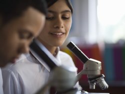 Emphasize Real Problems to Boost STEM Learning | Edutopia