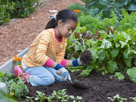 How to Grow an Engaging Learning Environment | Edutopia