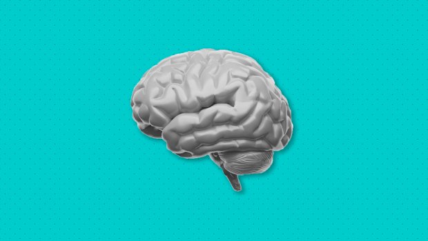 Resources on Learning and the Brain | Edutopia