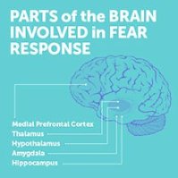The Science of Fear | Edutopia