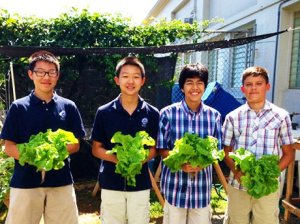 From Modern Farm to Sustainable Table: Teaching STEM and Humanities ...