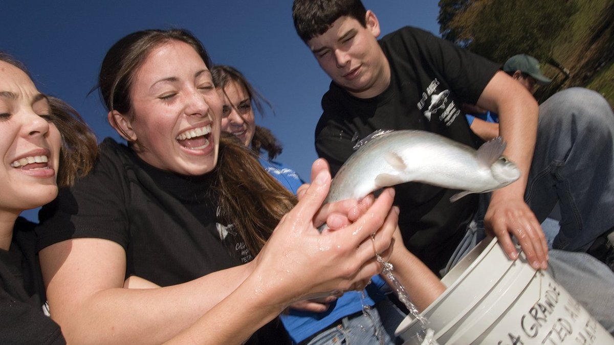 Fishy Business: A Class of Kids and a School of Fish | Edutopia