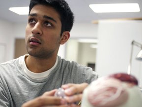 Why Should Schools Embrace Integrated Studies?: It Fosters a Way of ...