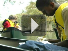 The EAST Initiative: Students Use Technology to Promote Collaborative ...