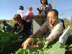 Middle School Students Grow Their Own Lunch | Edutopia
