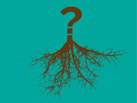 Critical Thinking Pathways | Edutopia