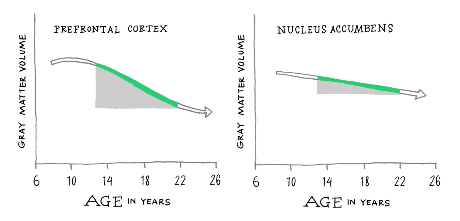 Decoding the Teenage Brain (in 3 Charts) | Edutopia