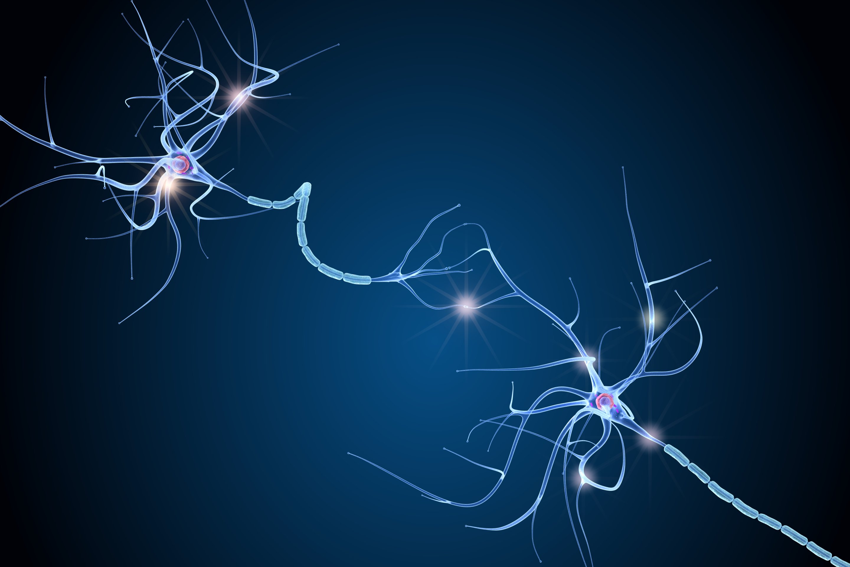 The Neuroscience Behind Productive Struggle | Edutopia