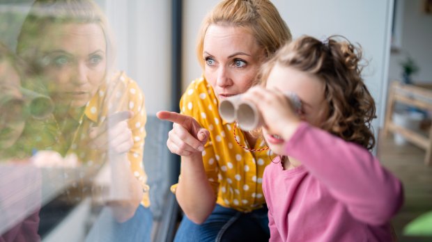 Using ‘Know, Wonder, Learn’ to Broaden Elementary Students’ Learning ...