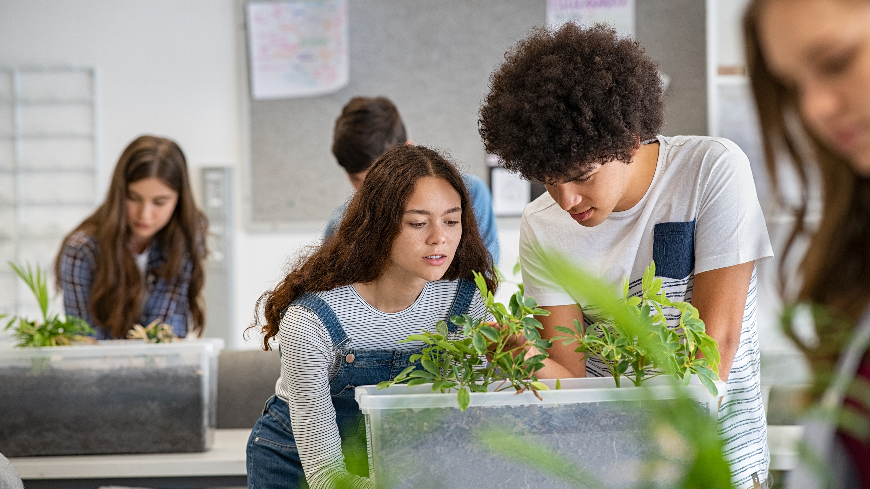 How to Give Middle and High School Science Lessons a Real-World Boost ...
