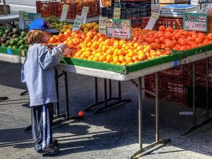 Talking Shop: Food Justice Lessons and a Student-Run Grocery Store ...