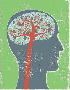 To Enable Learning, Put (Emotional) Safety First | Edutopia