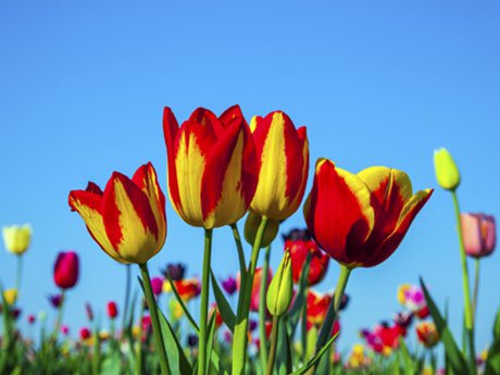 Adding a Spring to Your Step: 4 Ways to Beat the Winter Blues | Edutopia