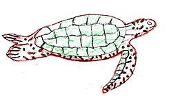 How To: Teach the Sea from the Land | Edutopia