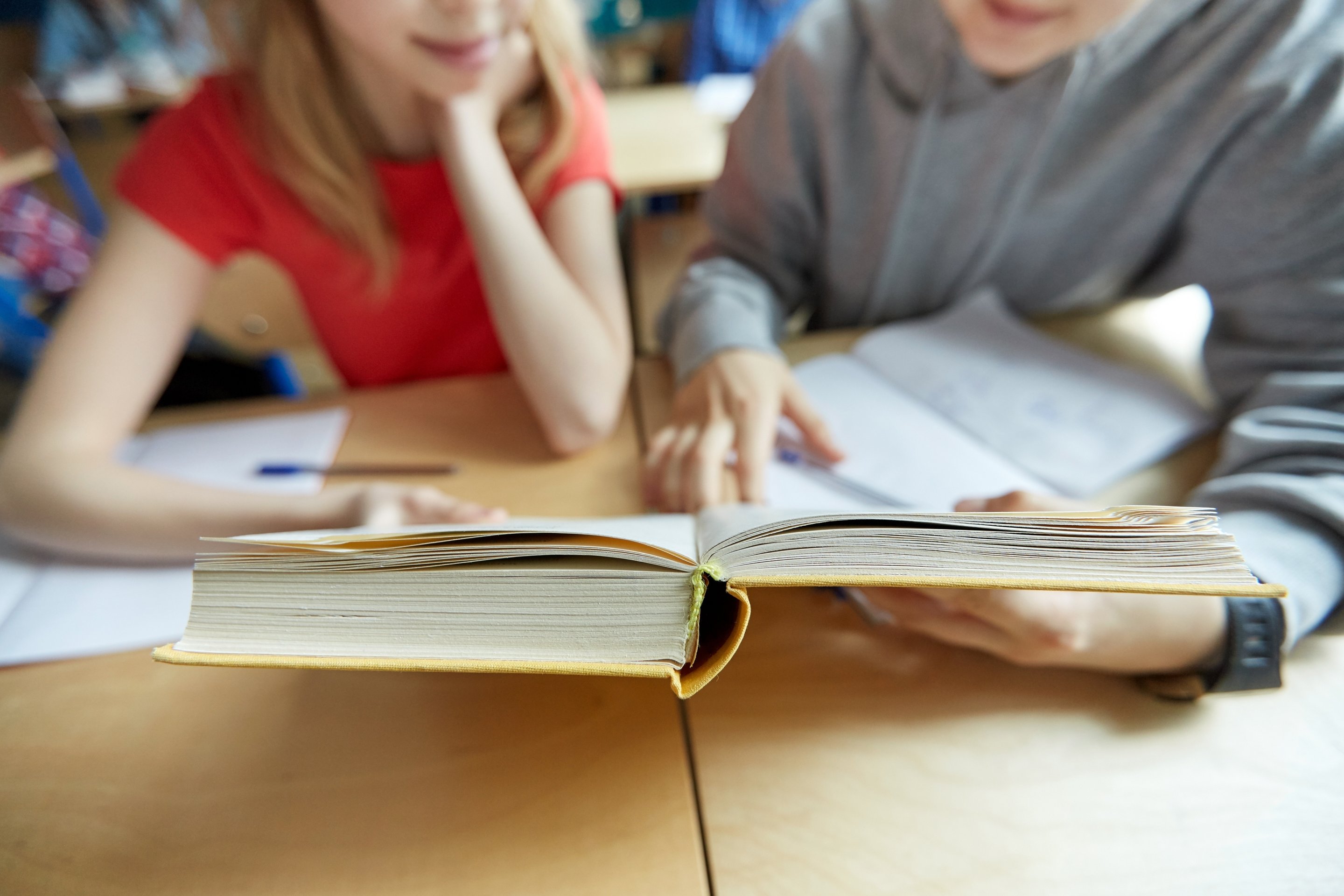 Improving Reading Outcomes for Economically Disadvantaged Students ...