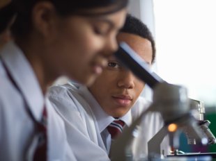 Why Curiosity Enhances Learning | Edutopia