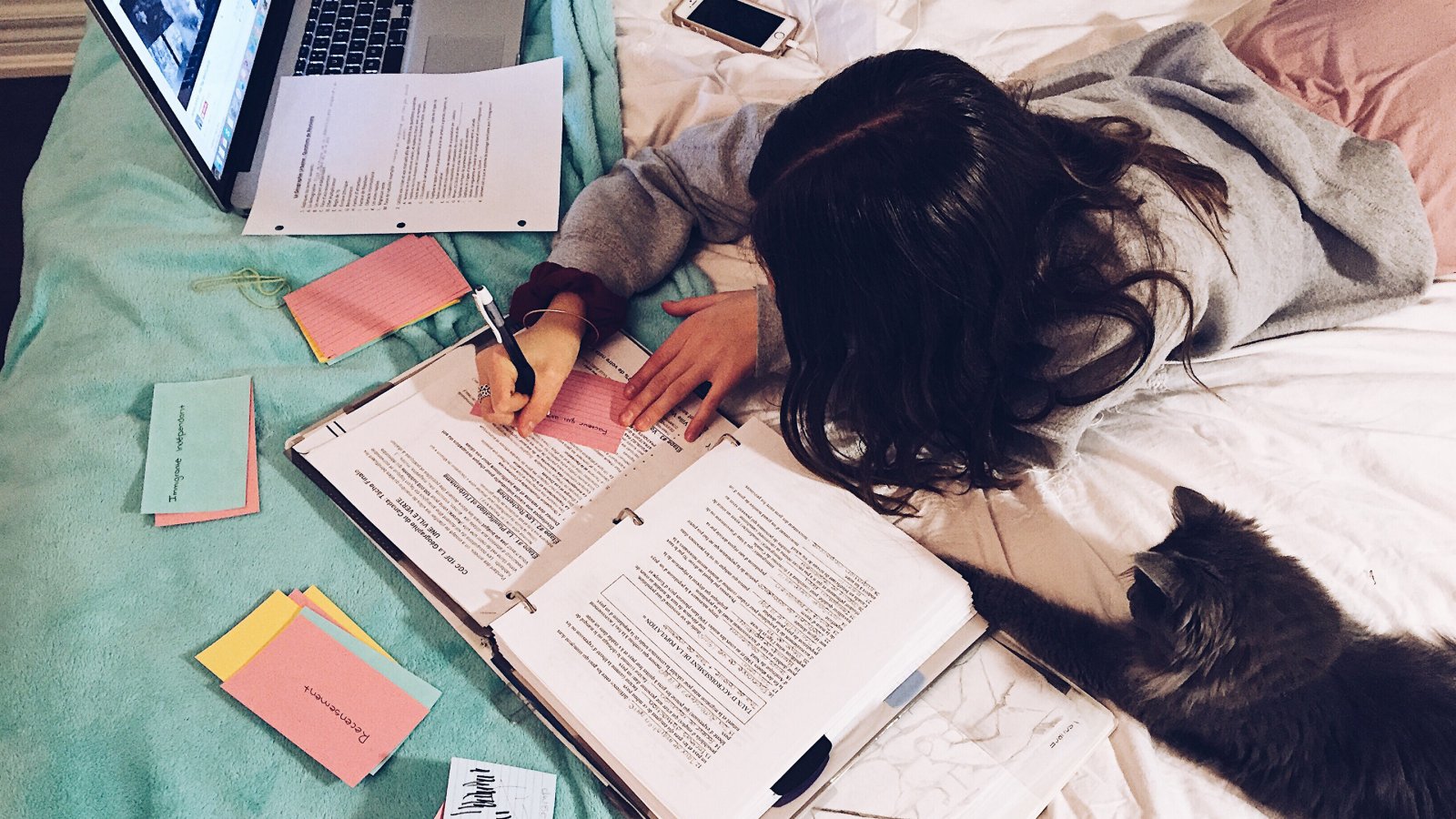 Teaching Young Students How to Use Multiple Sources | Edutopia