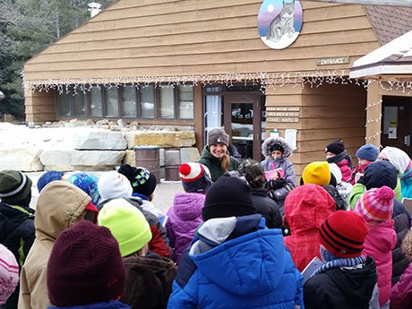 PBL Pilot: Matching PBL With Traditional Grading | Edutopia