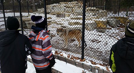 PBL Pilot: Matching PBL With Traditional Grading | Edutopia