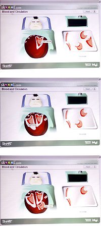 A Clean Slate: Interactive Whiteboard Makes Lessons Snazzy | Edutopia