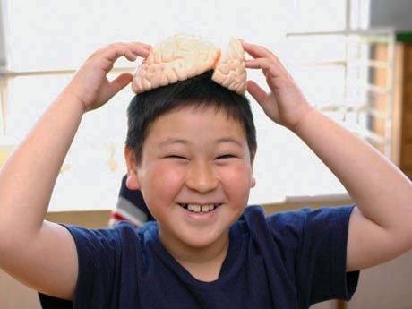 Engaging Brains: How to Enhance Learning by Teaching Kids About ...