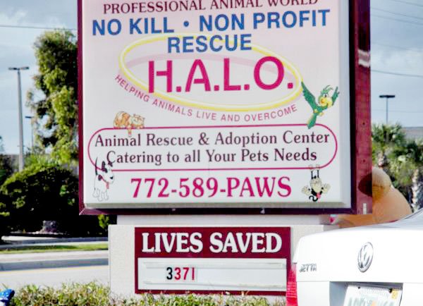 Classroom Champions Inspire Students | Edutopia