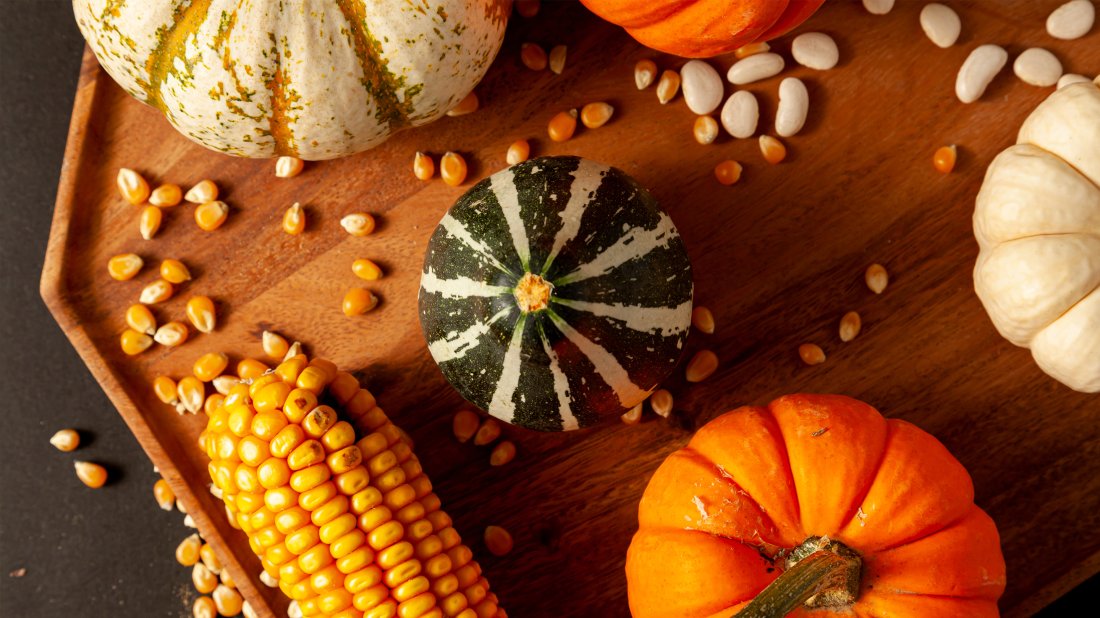 Culturally Responsive Ways to Teach the History of Thanksgiving | Edutopia