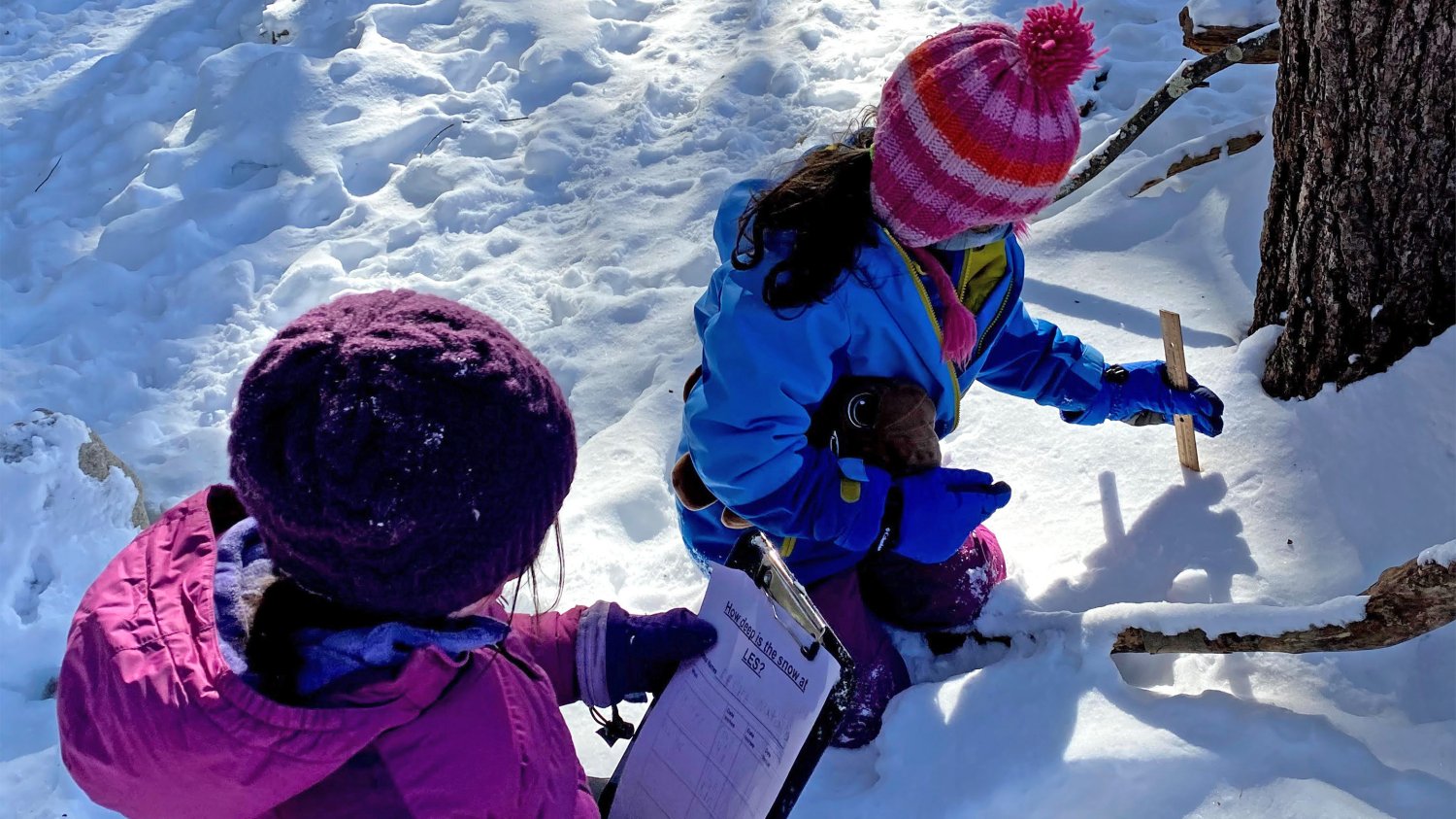 Nature Learning in All Seasons in Elementary School | Edutopia