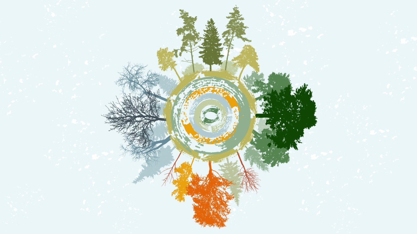 8 Ways to Study the Seasons With Elementary Students | Edutopia