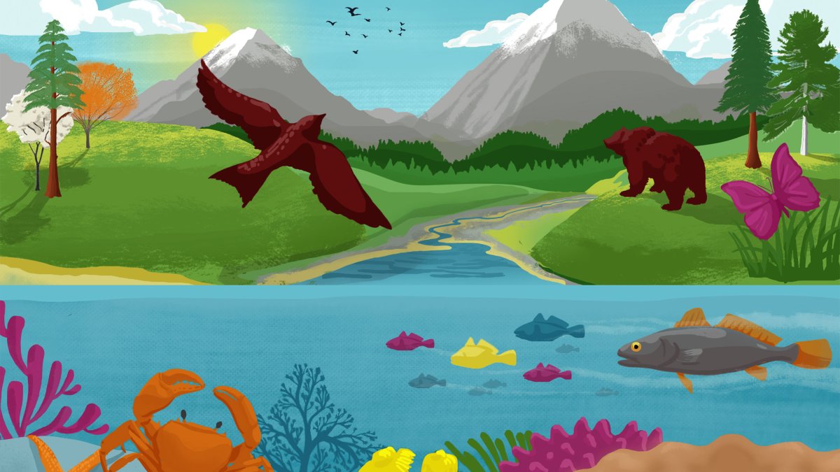 Encouraging Joy in Elementary Science | Edutopia