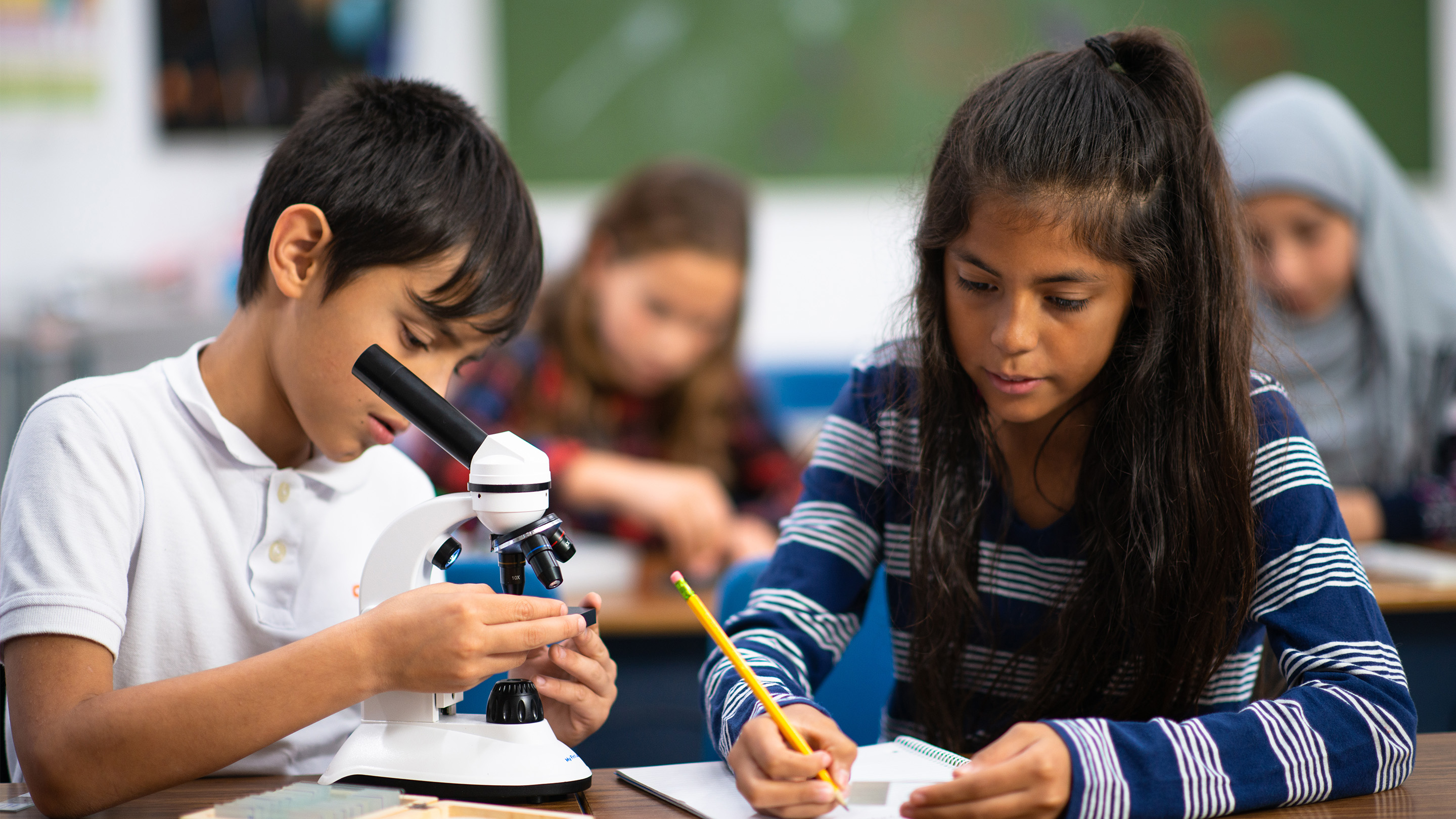 Scaffolding Literacy Through Stem Instruction For All Learners Edutopia