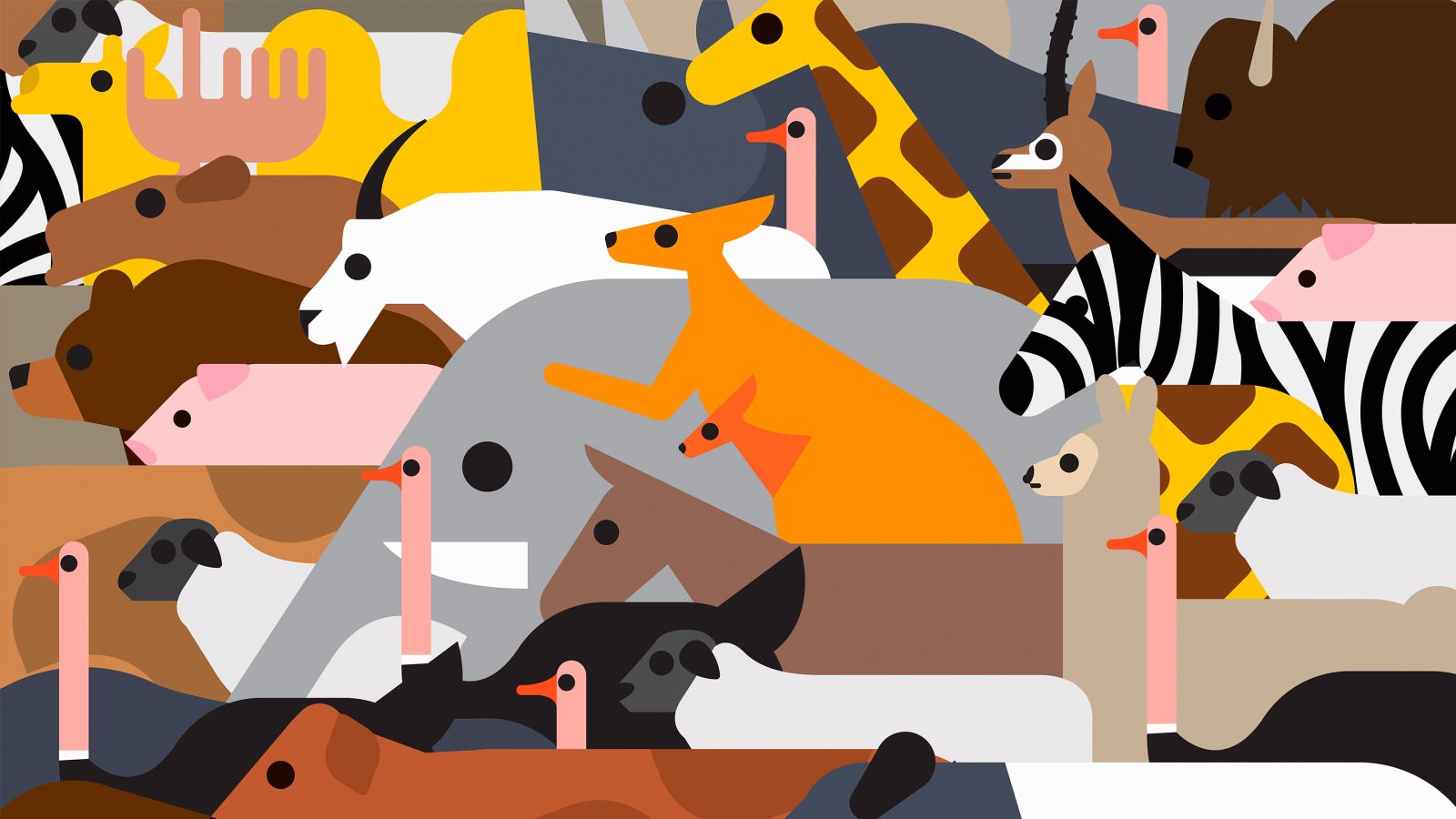 Animals Inspire Student Writing | Edutopia