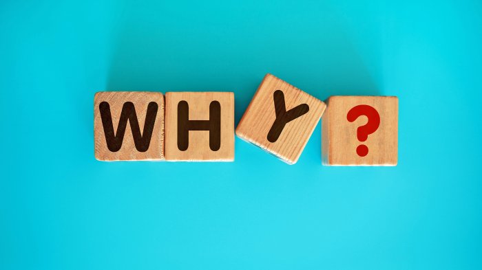 Establishing the Relevance of Lessons for Students | Edutopia