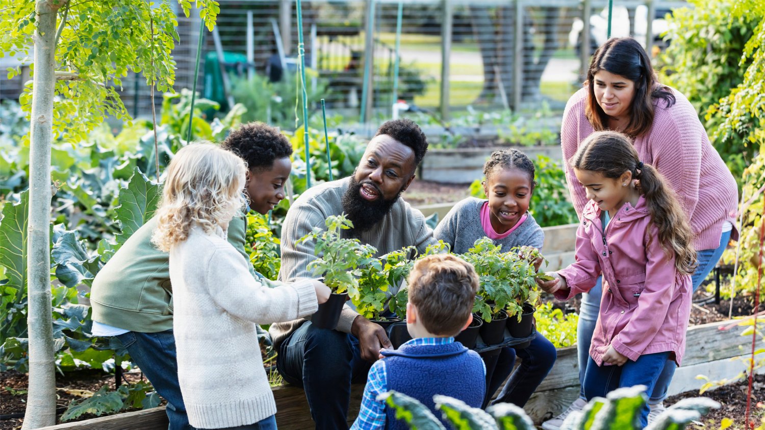 Digital Tools for Environmental Education in Elementary School | Edutopia
