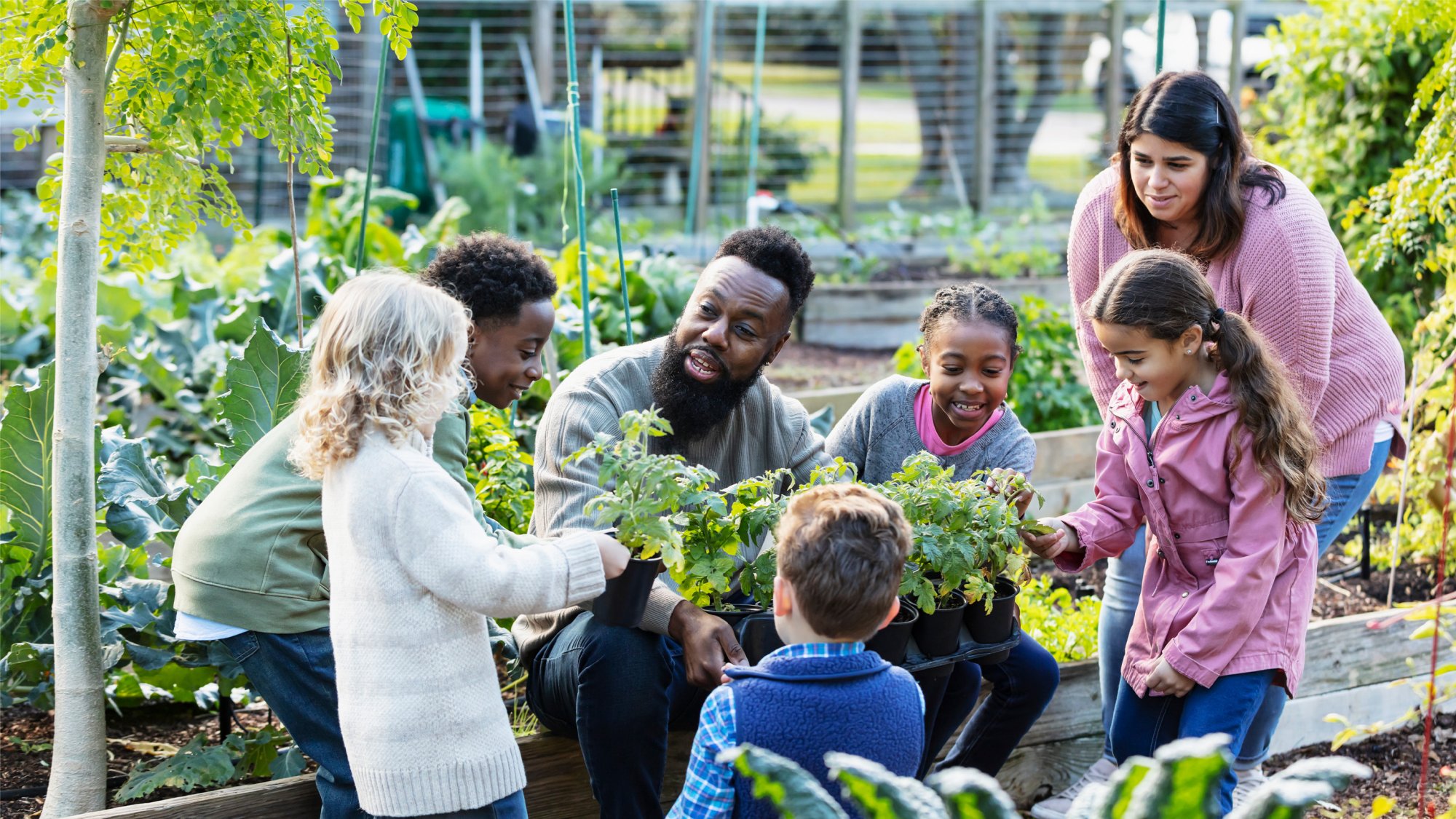Digital Tools for Environmental Education in Elementary School | Edutopia