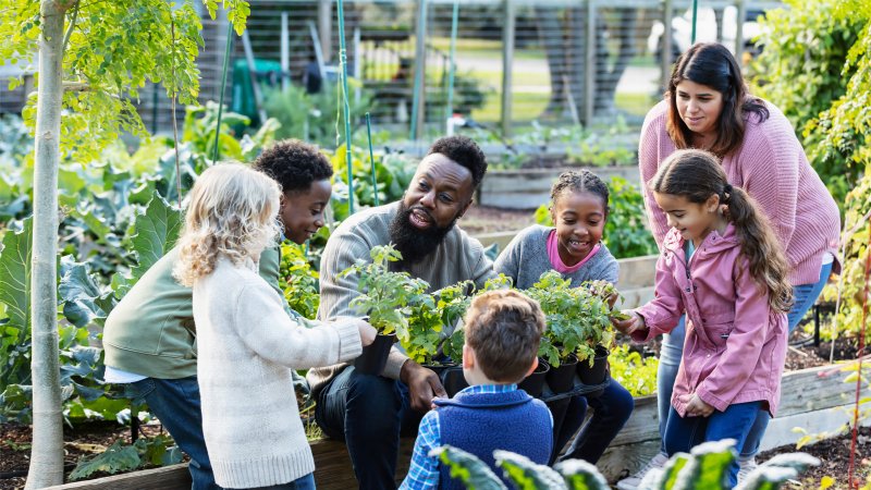 Digital Tools for Environmental Education in Elementary School | Edutopia