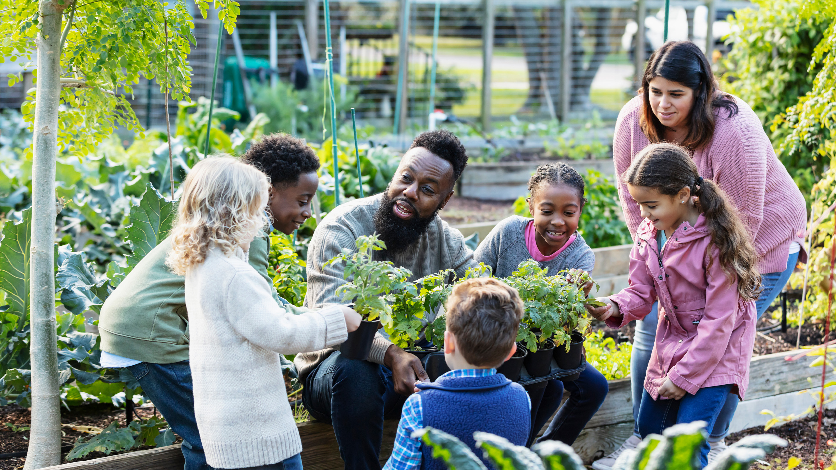 Environmental Education | Edutopia