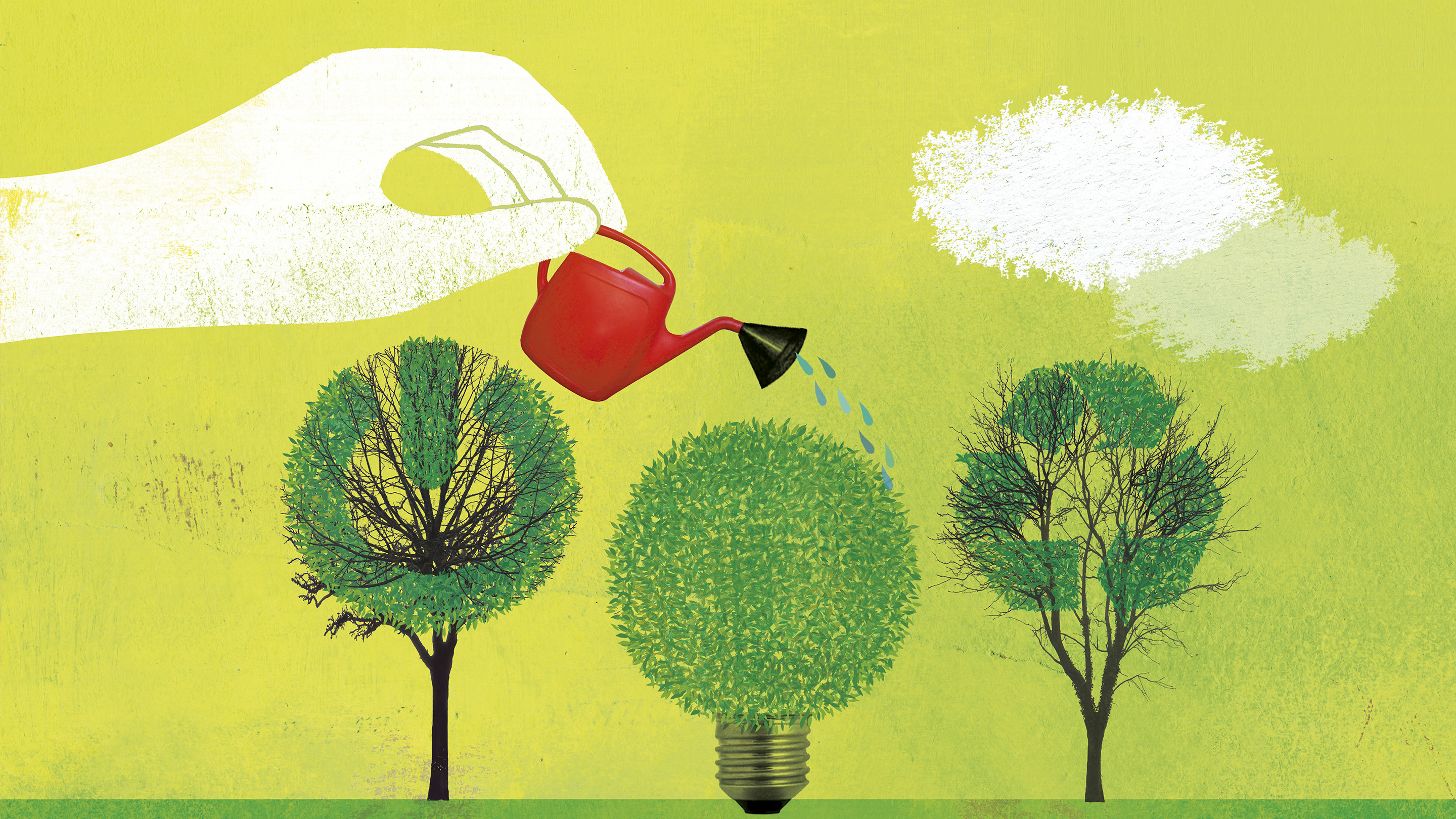 Lessons on Sustainability for All Grades | Edutopia
