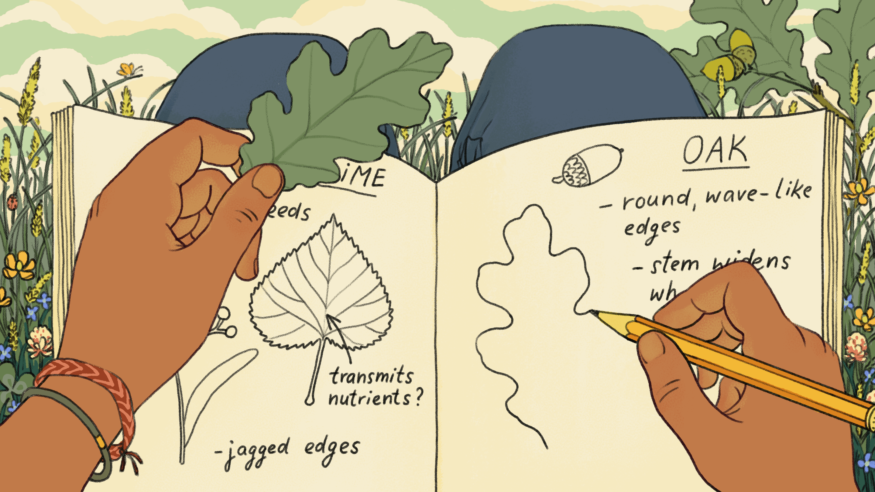 The Benefits of Nature Journaling for All Grades | Edutopia